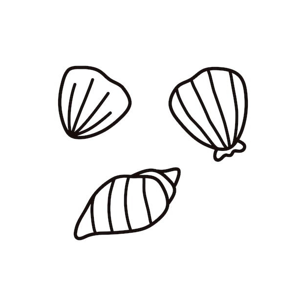 Captivating Collection of Diverse Shell Silhouettes | Jiffy Designs