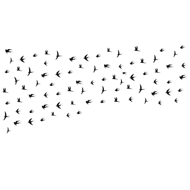 Minimalist Birds in Flight Pattern on White Background | Jiffy Designs
