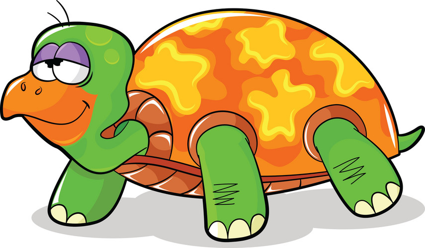 Cartoon Turtle With Funny Expression | Jiffy Designs