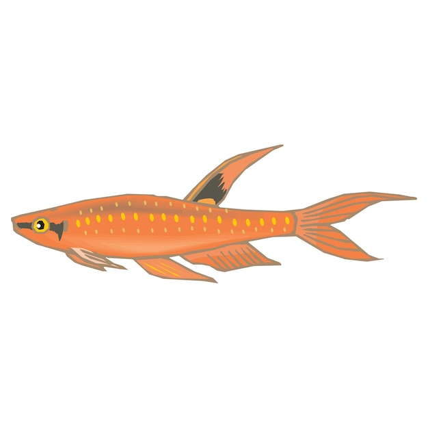 Vibrant Orange Aquarium Fish with Striking Patterns | Jiffy Designs