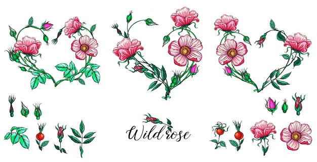 Vibrant Floral Collection of Wild Rose Motifs and Illustrations | Jiffy ...