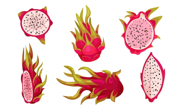 Vibrant Tropical Dragonfruit Collection in Vivid Hues | Jiffy Designs