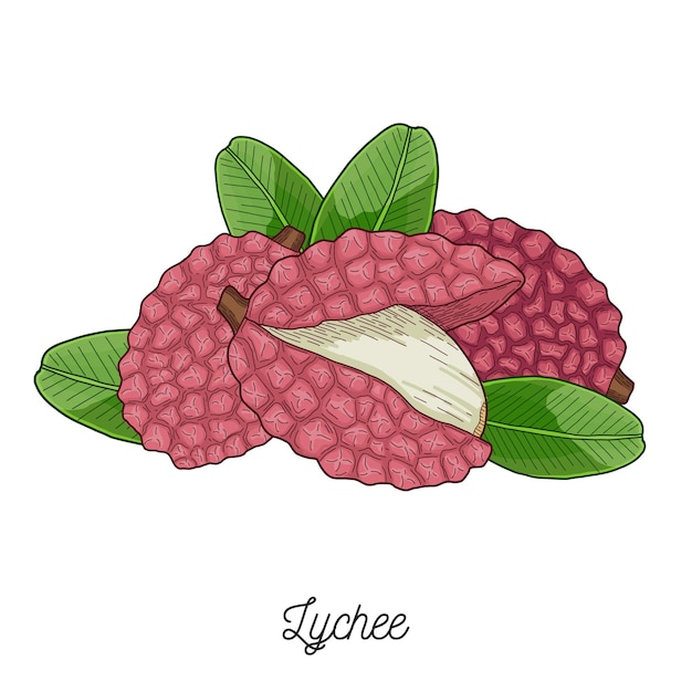 Vibrant Lychee Cluster with Lush Foliage | Jiffy Designs