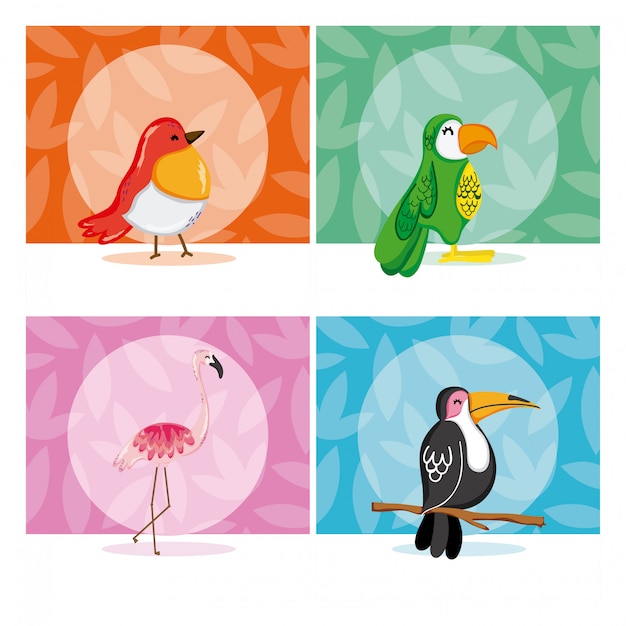 Vibrant Avian Illustration Collection: Diverse Avian Designs for ...