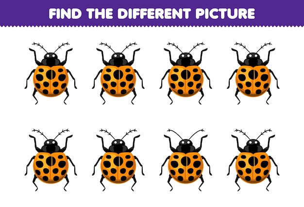 Vibrant Spotted Ladybugs: A Delightful Visual Diversity | Jiffy Designs