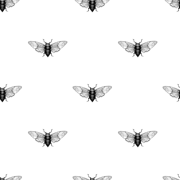 Monochrome Moth Pattern with Symmetrical Insect Illustrations | Jiffy ...