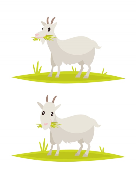 Cute and Playful Cartoon Goats Grazing on Lush Grass | Jiffy Designs