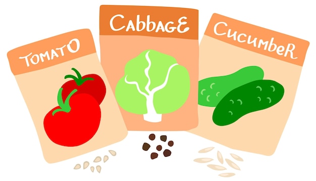 Vibrant Vegetable Illustrations with Descriptive Labels | Jiffy Designs