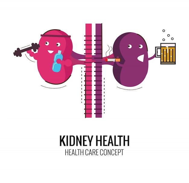Playful Kidney Health Concept with Friendly Cartoon Characters | Jiffy ...