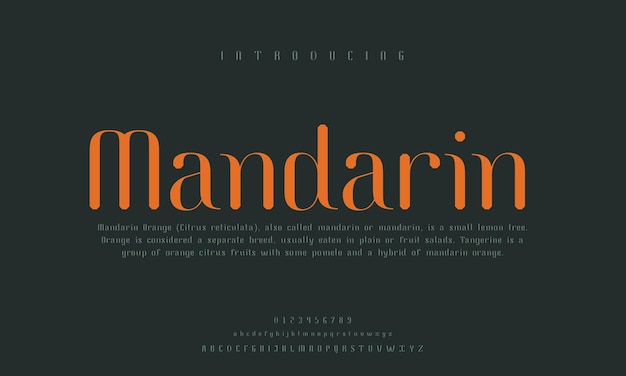 Elegant Mandarin Font with Vibrant Citrus Hues and Refined Serifs ...