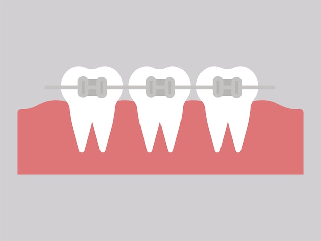 Stylized Teeth in Vibrant Coral and Minimalist Gray | Jiffy Designs