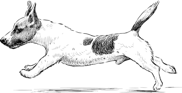 Playful Pup in Motion: Sketch of a Leaping Dog | Jiffy Designs