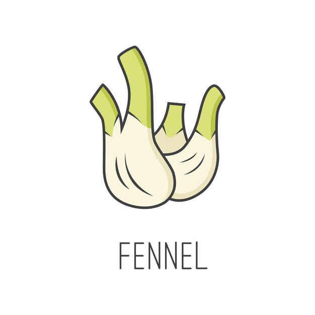 Vibrant Fennel Illustration with Minimalist Design | Jiffy Designs