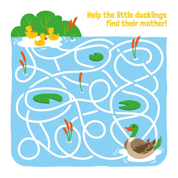 Ducklings Navigating the Pond Maze | Jiffy Designs