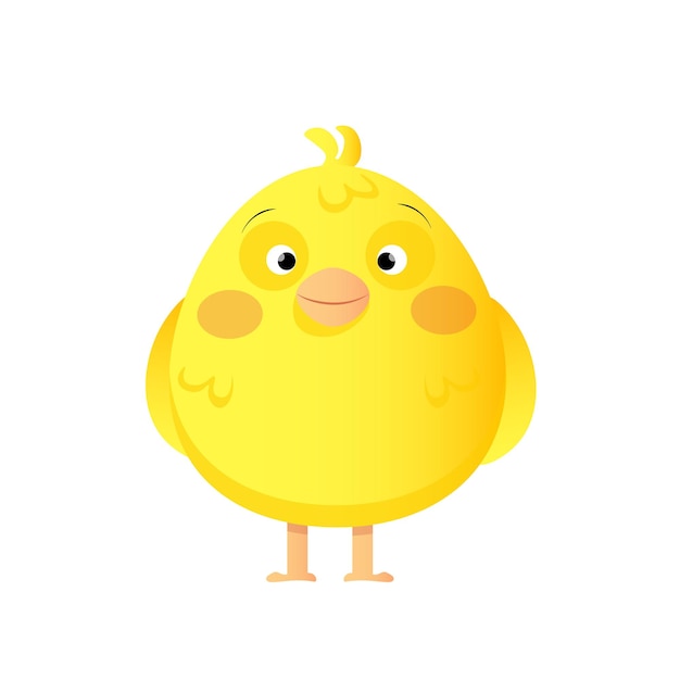 Cute Chubby Yellow Chick Cartoon Character Illustration | Jiffy Designs