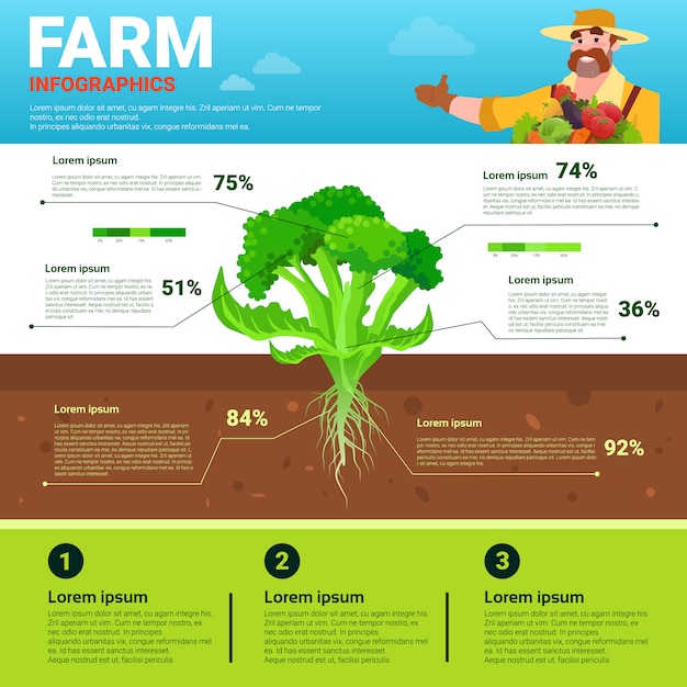 Colorful Infographic Depicting Farm and Vegetable Growth Statistics ...