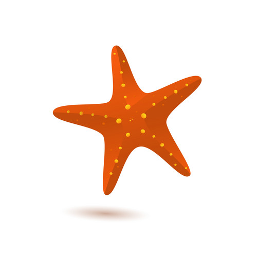 Starfish Cartoon Vector Icon. Sea Star Illustration | Jiffy Designs
