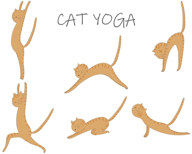 Playful Feline Yoga Poses: Whimsical Cat Stretches and Balances | Jiffy ...