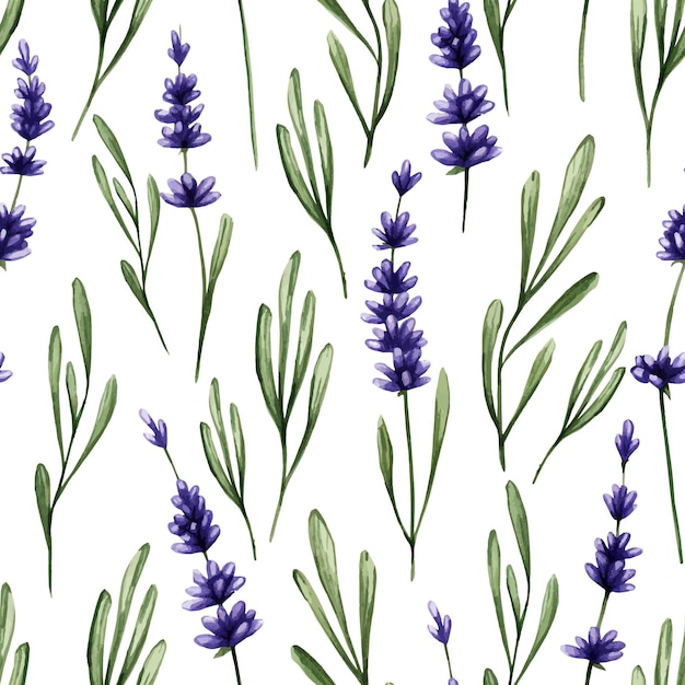 Watercolor Lavender Floral Pattern with Purple Blooms and Green Stems ...