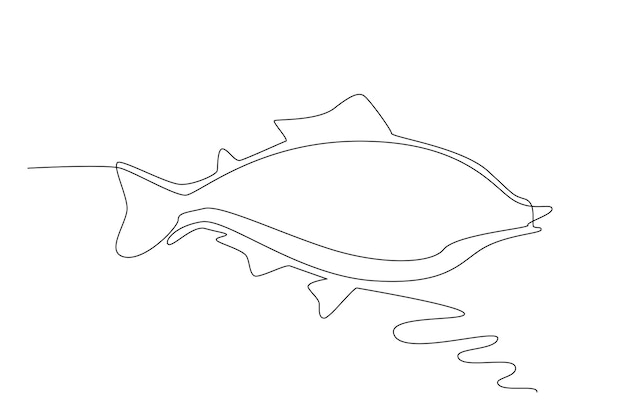 Minimalist Outline of a Freshwater Fish | Jiffy Designs