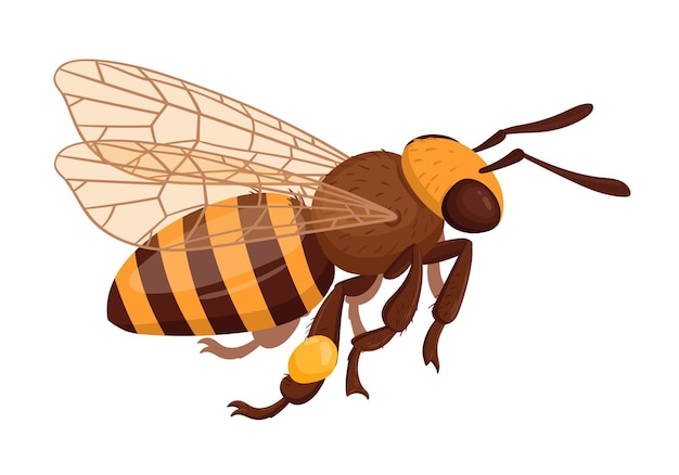 Detailed Illustration of a Honey Bee in Flight | Jiffy Designs