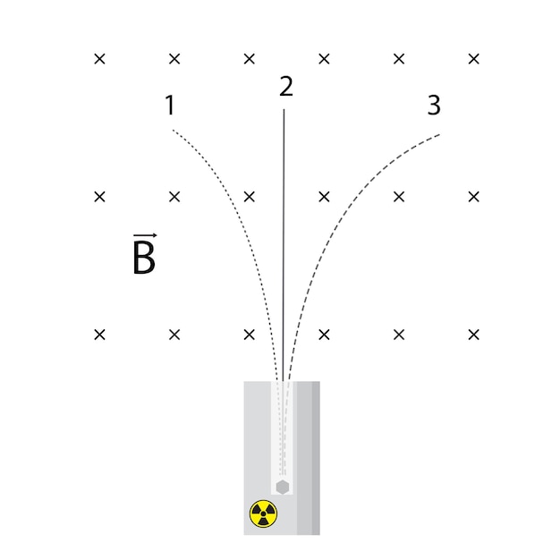 Minimalist Diagram of Radioactive Decay with Numbered Symbols | Jiffy ...