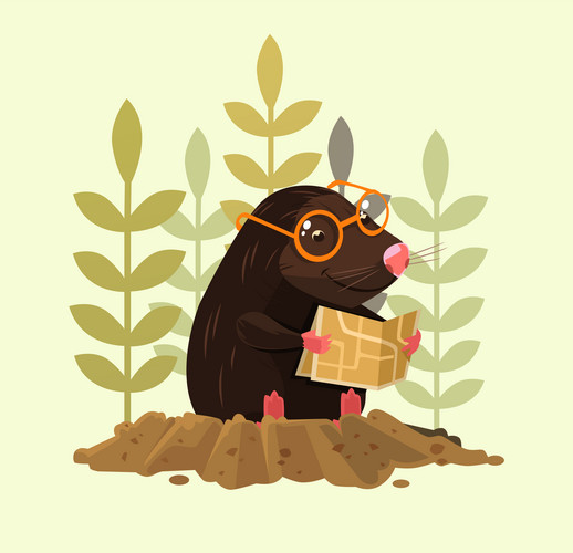 Cute Happy Smiling Mole Character Sitting And Read Map Vector Flat ...