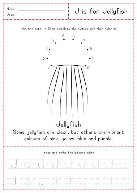Vibrant Jellyfish Illustration with Dot-to-Dot Activity | Jiffy Designs