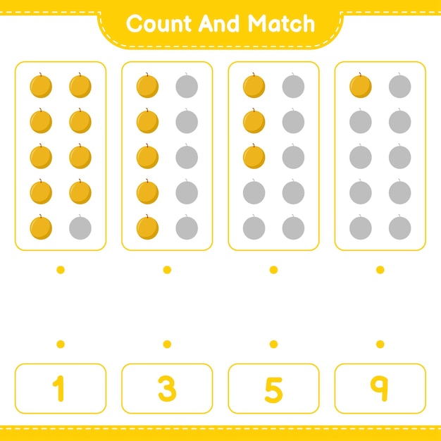 Vibrant Circles: A Fun Counting and Matching Activity | Jiffy Designs