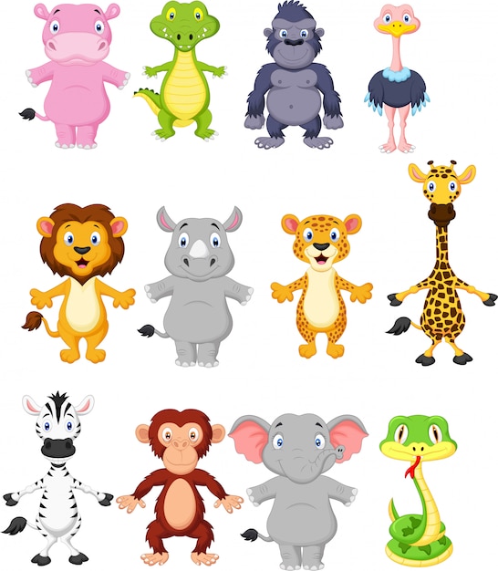 Vibrant Jungle Animal Cartoon Characters Collection | Jiffy Designs