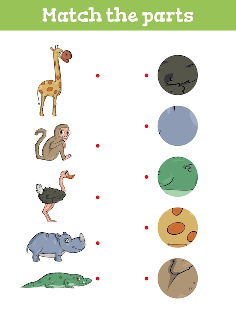 Vibrant Animal Parts Matching Game for Kids | Jiffy Designs