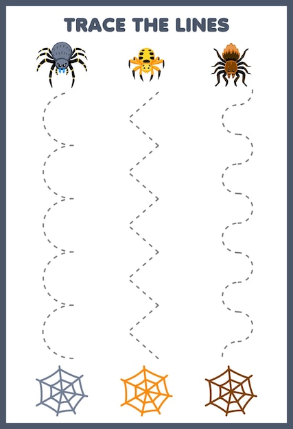 Trace the Intricate Patterns of Crawling Arachnids | Jiffy Designs