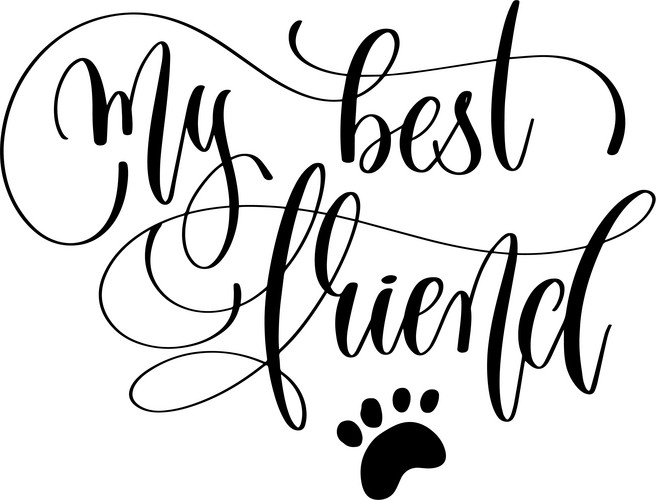 My Best Friend - Hand Lettering Text Positive Quote, Calligraphy Vector ...