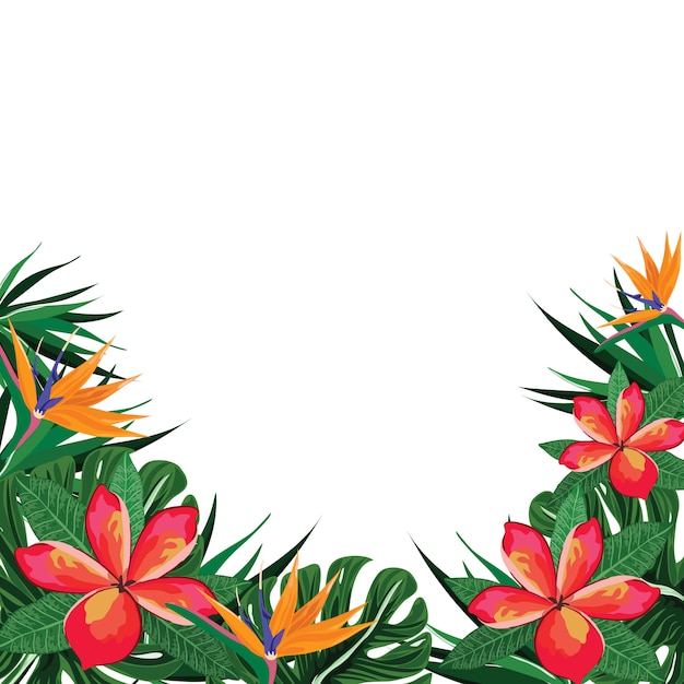 Vibrant Tropical Floral Border with Exotic Blooms | Jiffy Designs