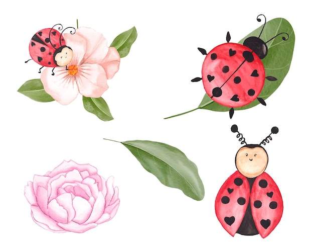Ladybugs, Flowers, and Leaves Watercolor Illustration Collection ...