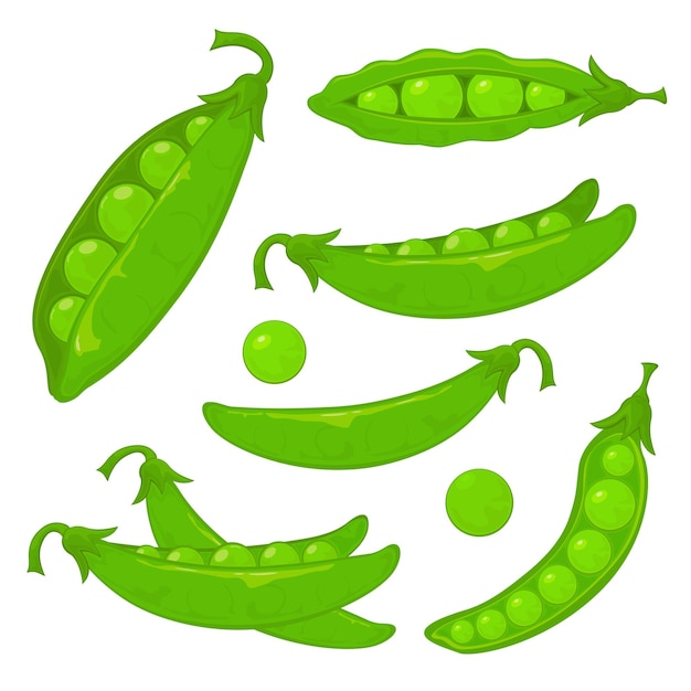 Vibrant Green Pea Pod Collection: A Versatile Graphic Set | Jiffy Designs