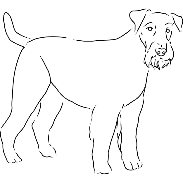 Outline Drawing of a Standing Airedale Terrier Dog | Jiffy Designs