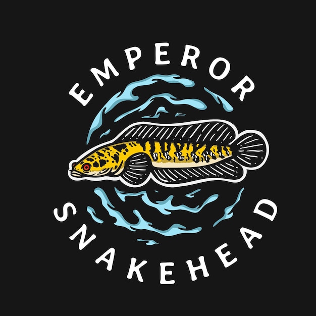Vibrant Underwater Creature: The Emperor Snakehead Fish | Jiffy Designs