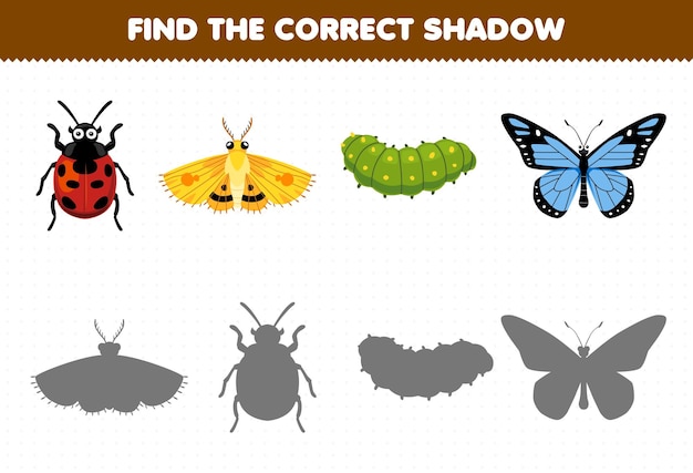 Vibrant Insect Silhouettes: A Whimsical Nature Matching Game | Jiffy ...