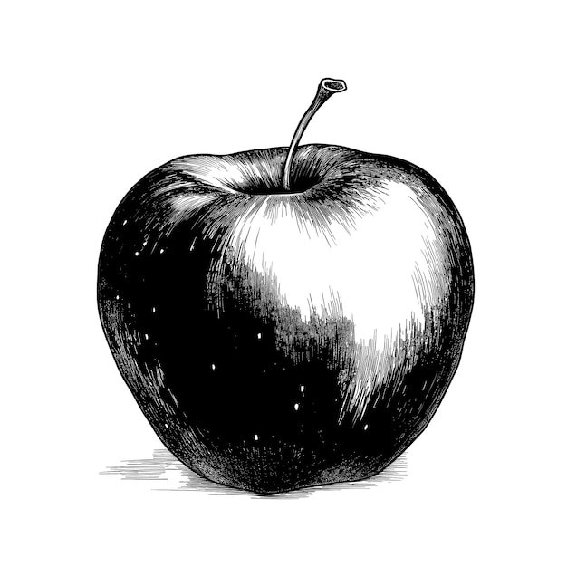 Detailed Sketch of a Shiny, Ripe Red Apple | Jiffy Designs