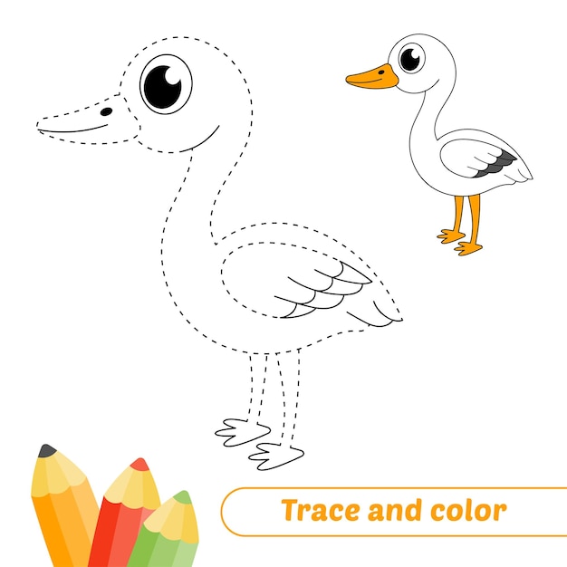 Adorable Ducklings: Trace and Color Fun | Jiffy Designs