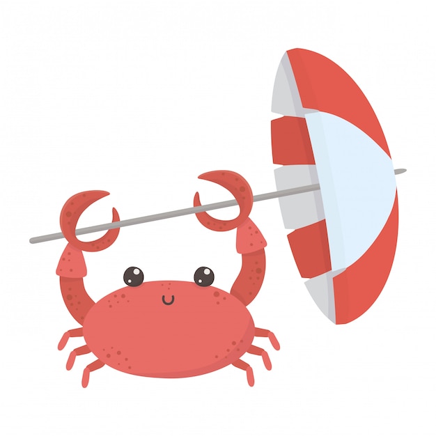 Adorable Crab Holding Colorful Umbrella | Jiffy Designs