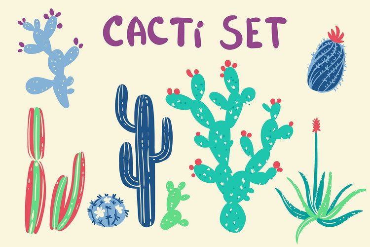 Vector Doodle Cacti Set. Hand Drawn Cactus And Succulent Plants ...