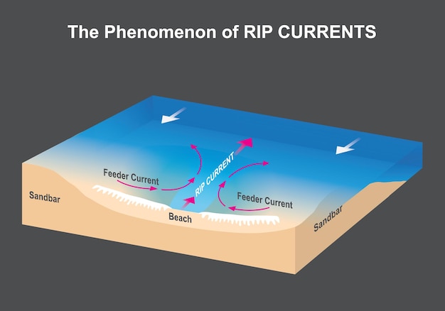 Illustration of Rip Currents and Their Complex Patterns | Jiffy Designs