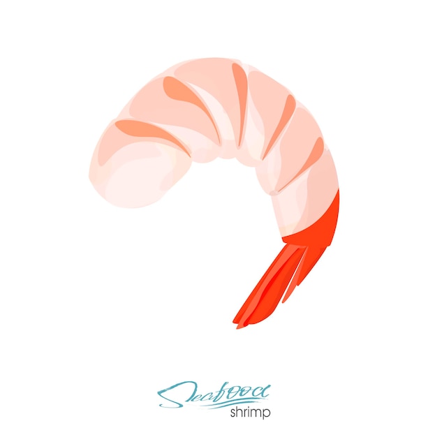 Vibrant Shrimp Silhouette with Geometric Patterns | Jiffy Designs