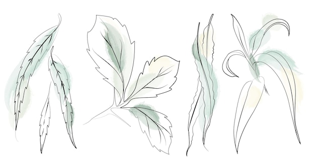Delicate Botanical Sketches: Ethereal Leaf Illustrations | Jiffy Designs
