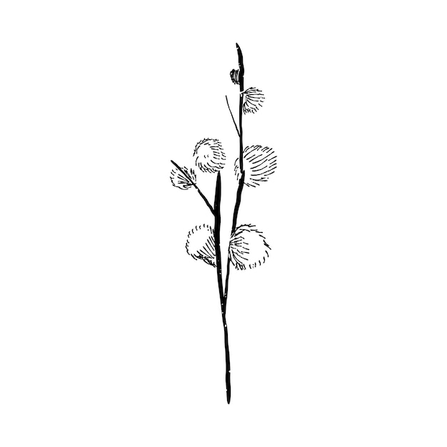 Intricate Botanical Sketch of Delicate Floral Sprig | Jiffy Designs