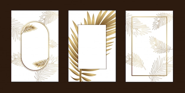 Elegant Golden Palm Leaf Frames for Versatile Designs | Jiffy Designs