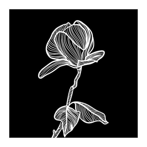 Elegant Black and White Floral Outline Illustration | Jiffy Designs