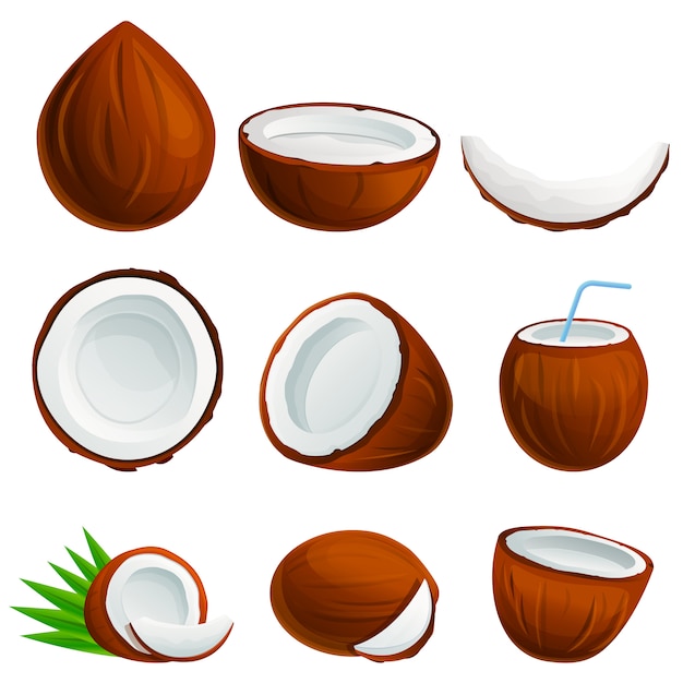 Diverse Collection of Vibrant Coconut Elements | Jiffy Designs